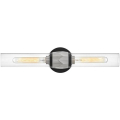 Hinkley 57082BK-BN Ellison 2-Light Black With Brushed Nickel Accents ...
